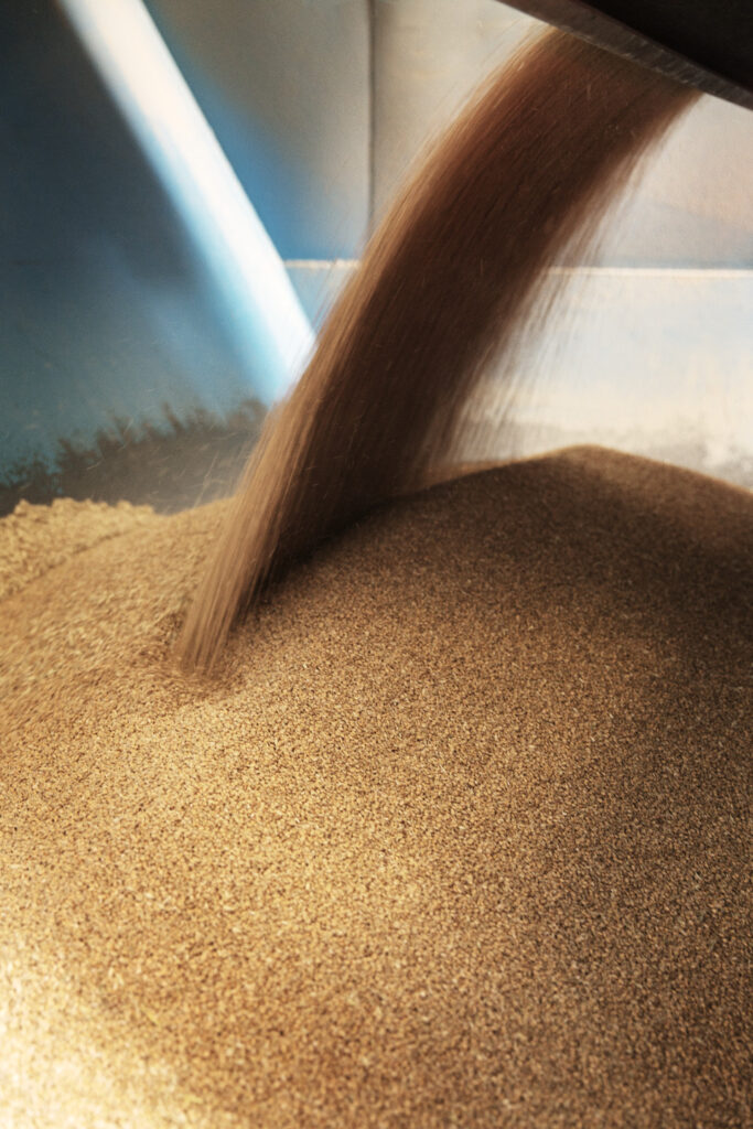 Nöbbelöv distillery wheat intake – The Absolut Group