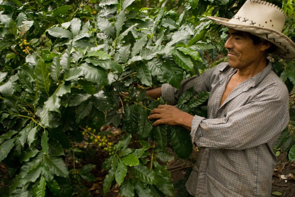 Our Stories | The Absolut Group