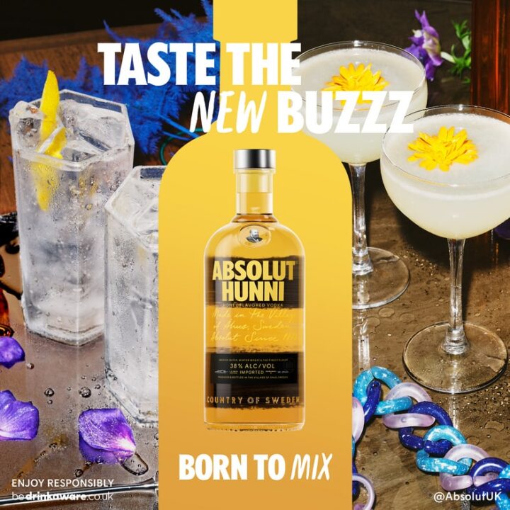 Introducing Absolut Hunni: A Sweet Vodka Innovation – The Absolut Group