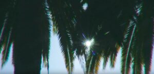 Introducing…Absolut House of Cosmo at Coachella, with Paris Hilton ...