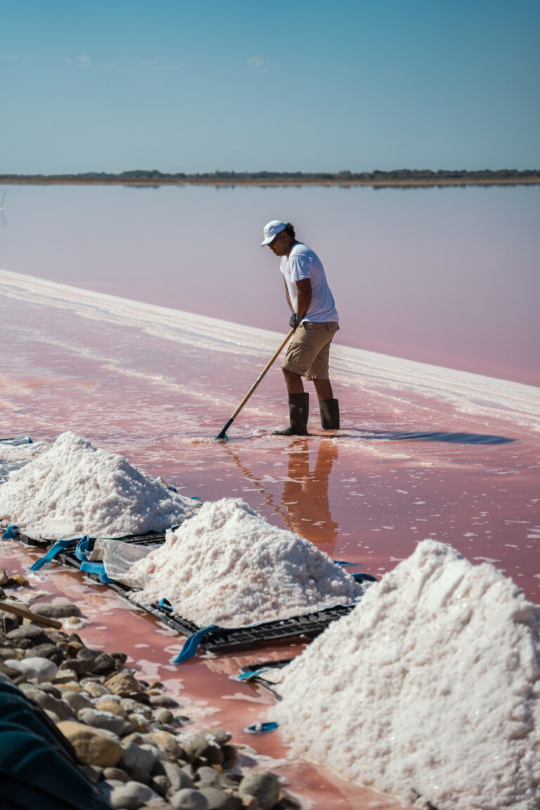 Monkey 47 unveils annual limited-edition Distiller’s Cut – The Absolut ...