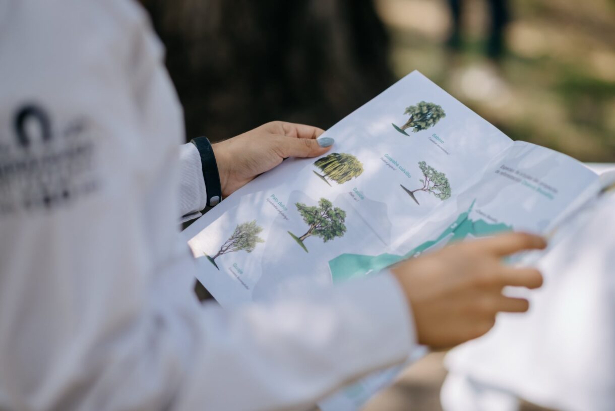 Five ways Altos Tequila is making a positive impact on the environment ...